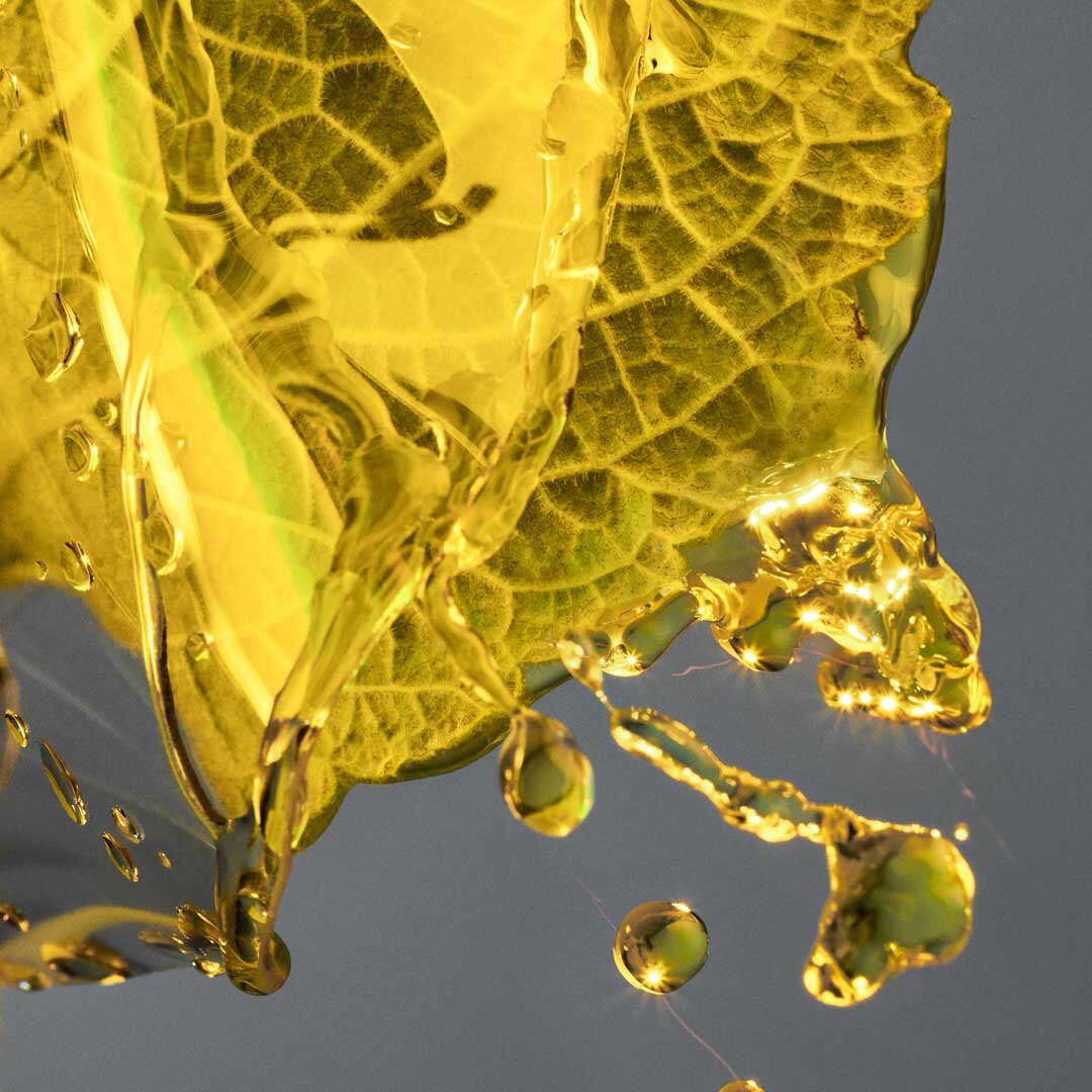 Hugo Boss The Collection Vigorous Cologne EdP 100 ml - Fredrik & Louisa