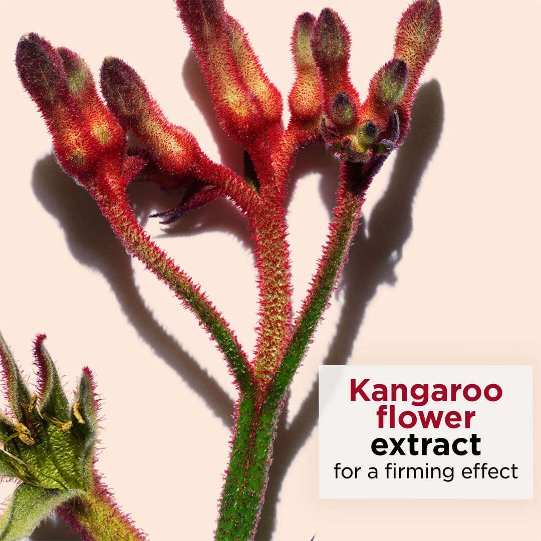 Clarins Total Eye Smooth 15 ml - Fredrik & Louisa